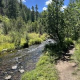 Government Springs 95A, Arizona - 631 Reviews, Map | AllTrails