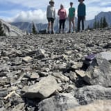 Lady Macdonald Teahouse, Alberta, Canada - 2,077 Reviews, Map | AllTrails