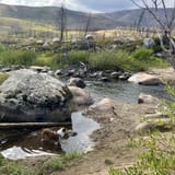 Colorado River and River Run Trail, Colorado - 518 Reviews, Map | AllTrails