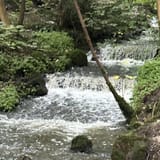 Cathkin Braes Country Park and Linn Park Circular, Glasgow City ...