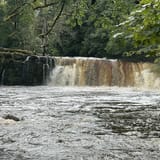 Cathkin Braes Country Park and Linn Park Circular, Glasgow City ...