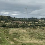 Cathkin Braes Country Park and Linn Park Circular, Glasgow City ...
