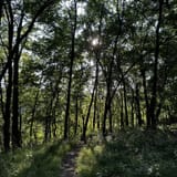 Emerald View Trail, Pennsylvania - 815 Reviews, Map | AllTrails