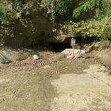 Clackamas River Float: Barton - Carver, Oregon - 43 Reviews, Map ...