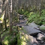Mount Jackson and Mount Webster Trail Loop, New Hampshire - 2,375 ...