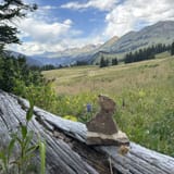 Schofield Pass OHV Trail, Colorado - 61 Reviews, Map | AllTrails