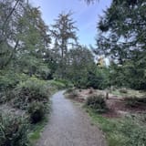 Point Defiance Park Outer Loop, Washington - 4,766 Reviews, Map | AllTrails