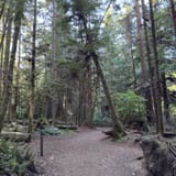 Point Defiance Park Outer Loop, Washington - 4,766 Reviews, Map | AllTrails