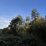 Tradition Lake Loop Trail, Washington - 1,643 Reviews, Map | AllTrails