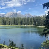 Johnson Lake, Alberta, Canada - 2,002 Reviews, Map | AllTrails