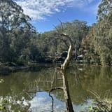 Lane Cove Riverside Walk, New South Wales, Australia - 1,786 Reviews ...