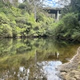 Lane Cove Riverside Walk, New South Wales, Australia - 1,786 Reviews ...