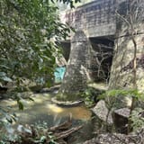Lane Cove Riverside Walk, New South Wales, Australia - 1,786 Reviews ...