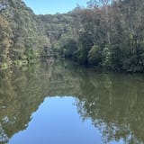 Lane Cove Riverside Walk, New South Wales, Australia - 1,786 Reviews ...