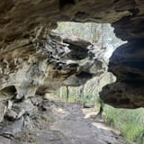 Lane Cove Riverside Walk, New South Wales, Australia - 1,786 Reviews ...