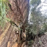 Lane Cove Riverside Walk, New South Wales, Australia - 1,786 Reviews ...