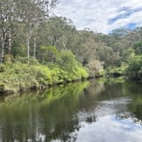Lane Cove Riverside Walk, New South Wales, Australia - 1,786 Reviews ...