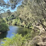 Lane Cove Riverside Walk, New South Wales, Australia - 1,786 Reviews ...