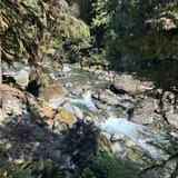 Staircase Rapids Loop, Washington - 3,077 Reviews, Map | AllTrails