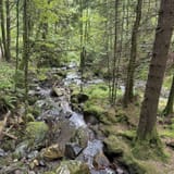 Ravenna Gorge Trail, Baden-Wuerttemberg, Germany - 370 Reviews, Map ...