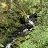 Ravenna Gorge Trail, Baden-Wuerttemberg, Germany - 370 Reviews, Map ...