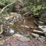 Graybeard Trail [CLOSED], North Carolina - 1,833 Reviews, Map | AllTrails