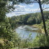 The Manistee River Loop Trail, Michigan - 2,124 Reviews, Map | AllTrails