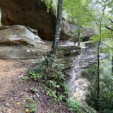 Princess Arch Trail, Kentucky - 1,534 Reviews, Map | AllTrails