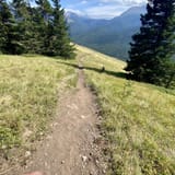 Wind Ridge Trail, Alberta, Canada - 1,397 Reviews, Map | AllTrails