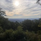 Springer Mountain, Georgia - 691 Reviews, Map | AllTrails