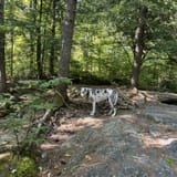 Sculptured Rocks Natural Area, New Hampshire - 126 Reviews, Map | AllTrails
