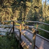 Fenland Trail, Alberta, Canada - 1,007 Reviews, Map | AllTrails