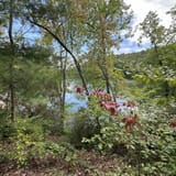 Dam Road, Issaqueena, Rocky and Collarbone Trail, South Carolina ...