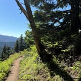 McNeil Point Trail, Oregon - 3,327 Reviews, Map | AllTrails