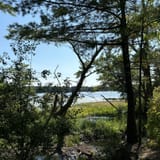 Haggetts Rail Trail to Haggetts Pond, Massachusetts - 409 Reviews, Map ...
