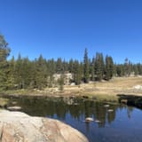 Soda Springs and Parsons Lodge Trail, California - 684 Reviews, Map ...