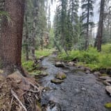 Government Springs 95A, Arizona - 651 Reviews, Map | AllTrails