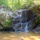 Cascade Falls Loop Trail, Maryland - 3,003 Reviews, Map | AllTrails