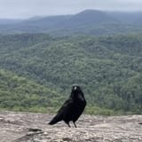 John Rock Trail Loop, North Carolina - 2,770 Reviews, Map | AllTrails