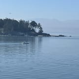 Lighthouse Point via Bowman Bay/Rosario Beach Trail, Washington - 2,026 ...