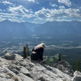 Lady Macdonald Teahouse, Alberta, Canada - 2,077 Reviews, Map | AllTrails