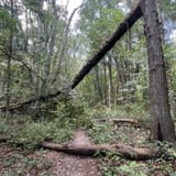 Provin Park Trail, Michigan - 810 Reviews, Map | AllTrails
