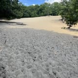 Provin Park Trail, Michigan - 810 Reviews, Map | AllTrails