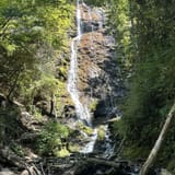 Mingo Falls Trail, North Carolina - 1,984 Reviews, Map | AllTrails