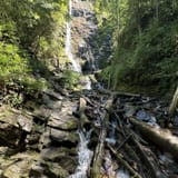Mingo Falls Trail, North Carolina - 1,984 Reviews, Map | AllTrails