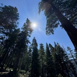 Fallen Leaf Lake Trail, California - 1,493 Reviews, Map | AllTrails