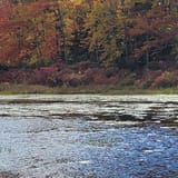Thunder Swamp Trail, Pennsylvania - 50 Reviews, Map | AllTrails