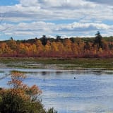 Thunder Swamp Trail, Pennsylvania - 50 Reviews, Map | AllTrails
