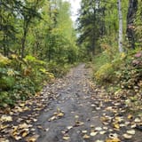 Talkeetna Lake Trail, Alaska - 791 Reviews, Map | AllTrails
