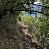 Lower and Upper Waimano Loop, Oahu, Hawaii - 2,513 Reviews, Map | AllTrails